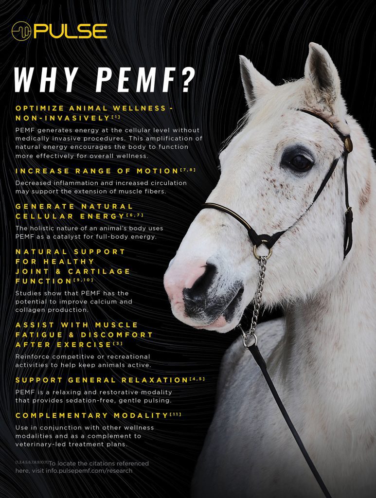 Pulse PEMF Safe Language Guidelines - Pulse Pemf